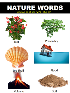 Most Beautiful Nature Vocabulary Words - Vocabulary Point