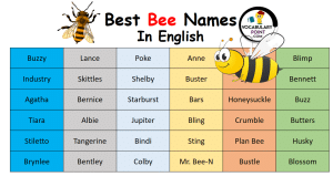Best Bee Names in English - Vocabulary Point