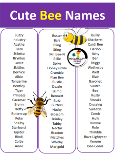 Best Bee Names in English - Vocabulary Point