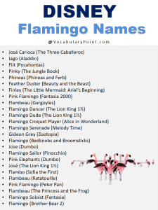 Best Names For Flamingo (Cute, Funny, Baby) - Vocabulary Point