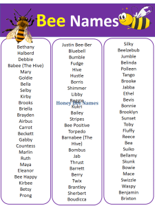 Best Bee Names in English - Vocabulary Point