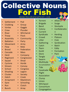 Collective Nouns For Fish (With Meaning and Examples) - Vocabulary Point