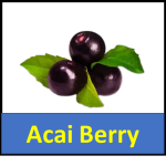 List of Berries (Berries Names With Pictures) - Vocabulary Point