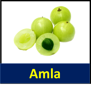 Which is The Smallest Fruit (Smallest Fruits List) - Vocabulary Point