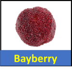 List of Berries (Berries Names With Pictures) - Vocabulary Point