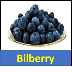 List of Berries (Berries Names With Pictures) - Vocabulary Point