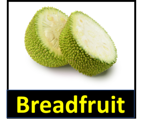 Seedless Fruits (Fruits That Have No Seed) - Vocabulary Point