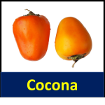 Which is The Smallest Fruit (Smallest Fruits List) - Vocabulary Point