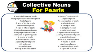 Collective Nouns For Pearls (With Meaning and Examples) - Vocabulary Point