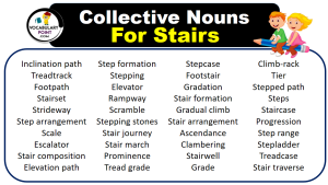 Collective Nouns For Stairs (With Meaning and Examples) - Vocabulary Point