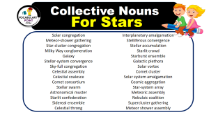 Collective Nouns For Stars (With Meaning and Examples) - Vocabulary Point
