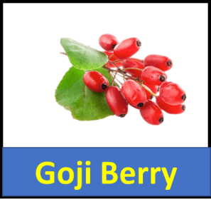 List of Berries (Berries Names With Pictures) - Vocabulary Point