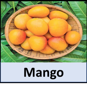 Heat Fruits List - Vocabulary Point