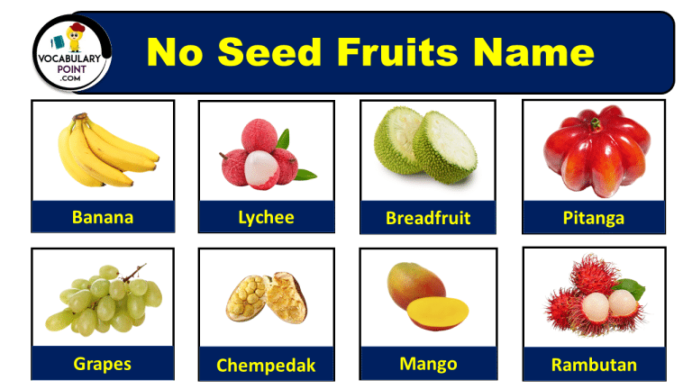 Seedless Fruits (Fruits That Have No Seed) - Vocabulary Point