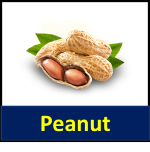 Which is The Smallest Fruit (Smallest Fruits List) - Vocabulary Point