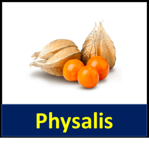 Which is The Smallest Fruit (Smallest Fruits List) - Vocabulary Point