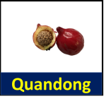 Which is The Smallest Fruit (Smallest Fruits List) - Vocabulary Point