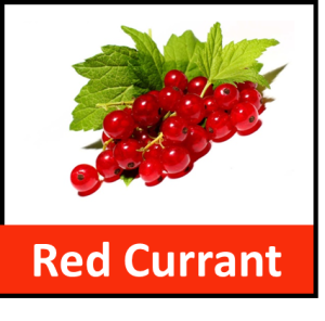 40 Red Fruit Names (List of Red Fruits with Pictures) - Vocabulary Point