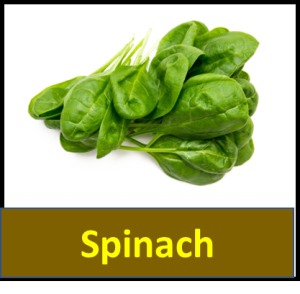 Fruits And Vegetables List A to Z - Vocabulary Point