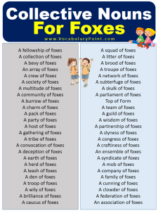 Collective Nouns For Foxes (With Meaning and Examples) - Vocabulary Point