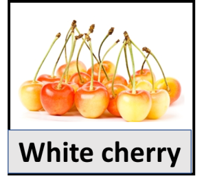 White Fruit Names (White Fruit Name List) - Vocabulary Point