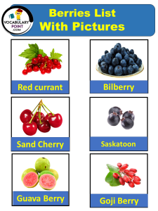 List of Berries (Berries Names With Pictures) - Vocabulary Point