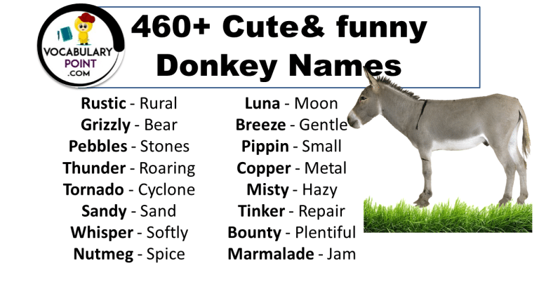 460+ Best Donkey Names (Unique,Funny,Male & Female) - Vocabulary Point
