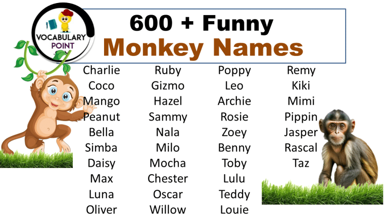 600 + Funny Monkey Names (Famous, Pet, Male & Female) - Vocabulary Point