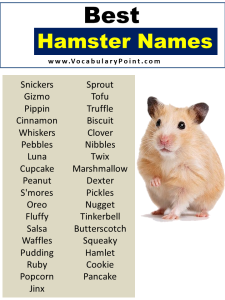 650+ Hamster Names (Cute, Funny, Boy & Girl) - Vocabulary Point