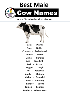 250 + Best Cow Names (Cute, Funny& Unique) - Vocabulary Point