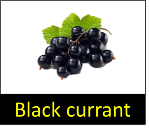 Black Fruits Names (List of Black Fruits) - Vocabulary Point