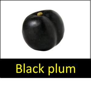 Black Fruits Names (List of Black Fruits) - Vocabulary Point
