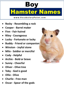 650+ Hamster Names (Cute, Funny, Boy & Girl) - Vocabulary Point