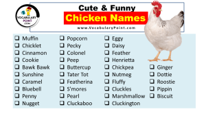 999+ Best Chicken Names (Cute, Funny, Clever & Baby Chick Names ...