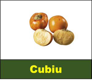 30 Famous Brazilian Fruits with Pictures - Vocabulary Point