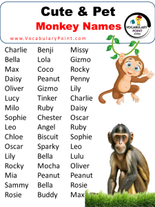 600 + Funny Monkey Names (Famous, Pet, Male & Female) - Vocabulary Point