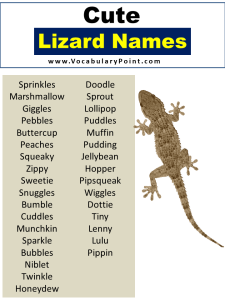 350+ Top Lizard Names (Best, Cute, Funny And Pet) - Vocabulary Point