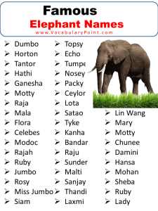 450+ Best Elephant Names ( Cute,Funny,Male & Female) - Vocabulary Point