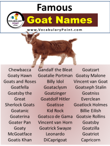 450+ Best Goat Names (Pet, Cute & Funny) - Vocabulary Point