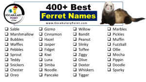 450+ Best Ferret Names (Cute, Cool and Pet) - Vocabulary Point