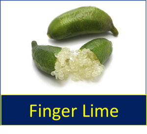 40+ List of Astringent Fruits & Vegetables - Vocabulary Point