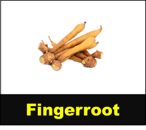 Root Fruits And Vegetables List (List Of Root Veg) - Vocabulary Point