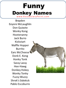 460+ Best Donkey Names (Unique,Funny,Male & Female) - Vocabulary Point