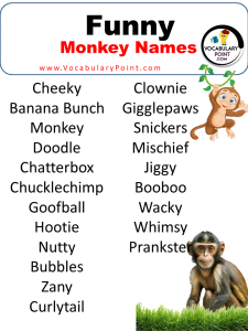 600 + Funny Monkey Names (Famous, Pet, Male & Female) - Vocabulary Point