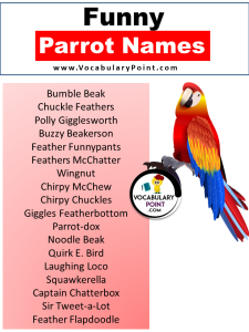 Adorable Parrot Names (Cute, Funny, Pet & Cool) - Vocabulary Point