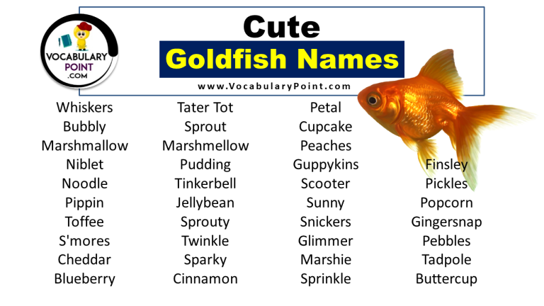 Unique Goldfish Names (Funny, Cool & Pet) - Vocabulary Point