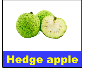 Hard Fruit Names (Hard Vegetables Names) - Vocabulary Point