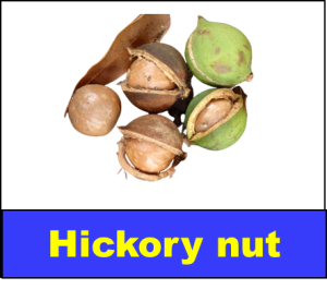 Hard Fruit Names (Hard Vegetables Names) - Vocabulary Point