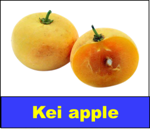 Hard Fruit Names (Hard Vegetables Names) - Vocabulary Point