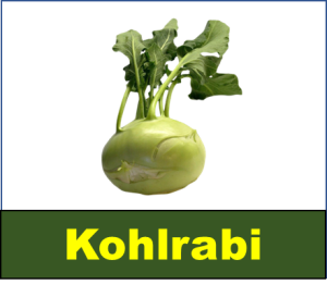 50+ Fruits That Grow In The Ground - Vocabulary Point